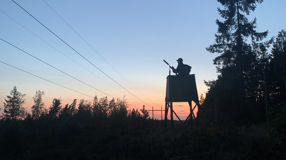 Hur avgörs vem som är olämplig vapenägare? - Svenska Jägareförbundet