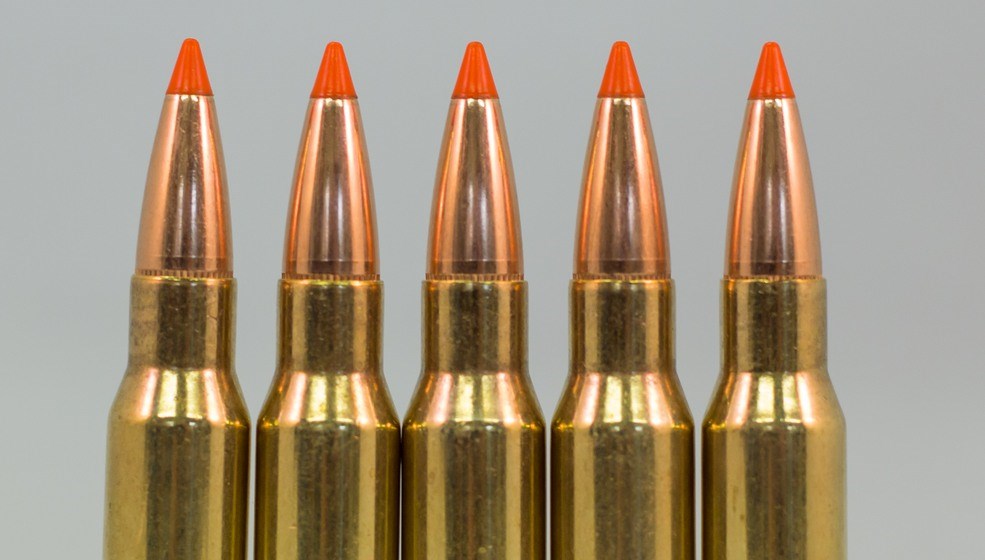 Att välja rätt kula - föreläsning för Svenska Jägareförbundets ...