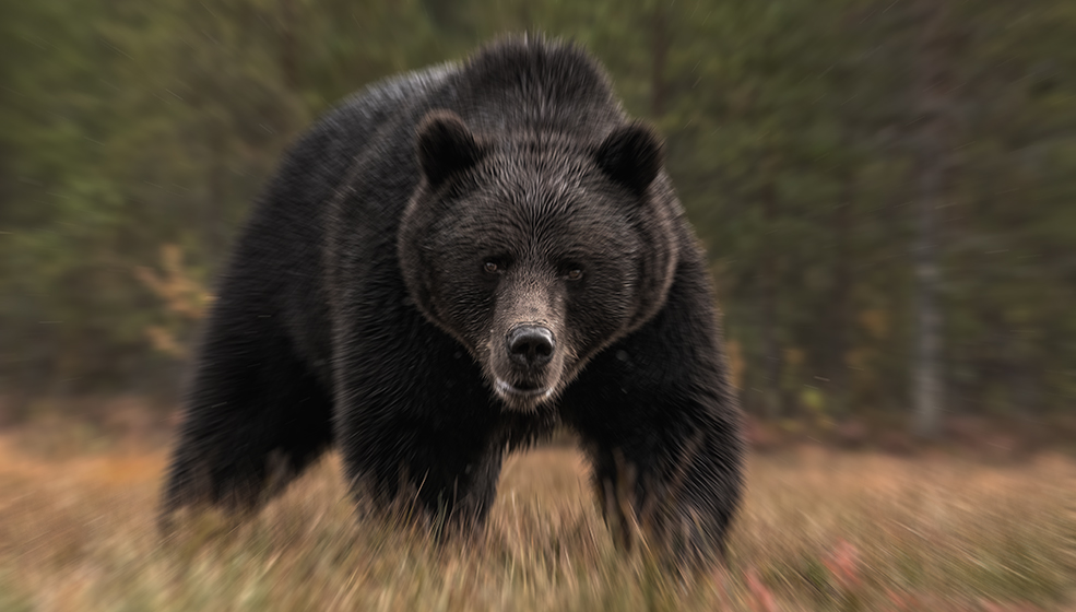 Att uppmana till självmord är inget skämt - Svenska Jägareförbundet