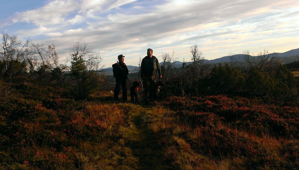 Så går det med fjälljakten - Jägareförbundet Jönköping