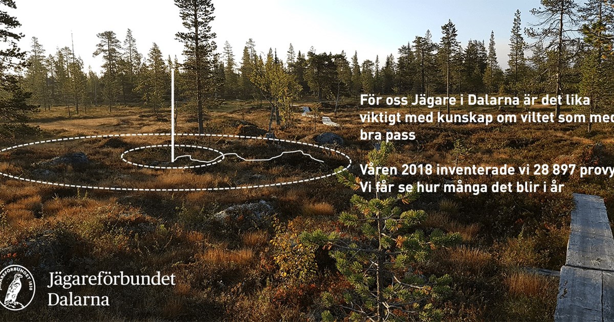 Inventering Dalarna 2019 - Jägareförbundet Dalarna