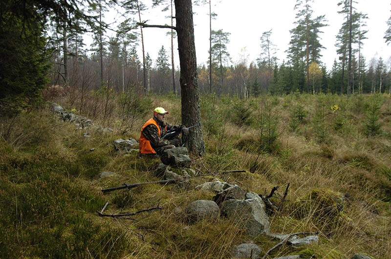 En checklista för säker jakt med kula - Svenska Jägareförbundet
